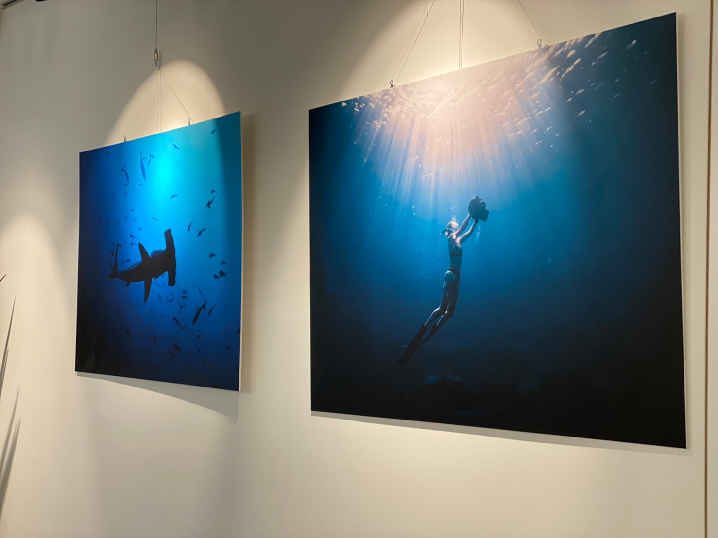 ｜相簿專區-2022 PSD S1水推產品發表會